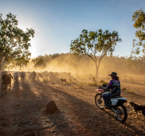 About - Gilberton Outback Retreat